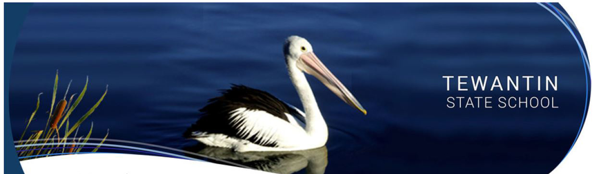 Tewantin State School